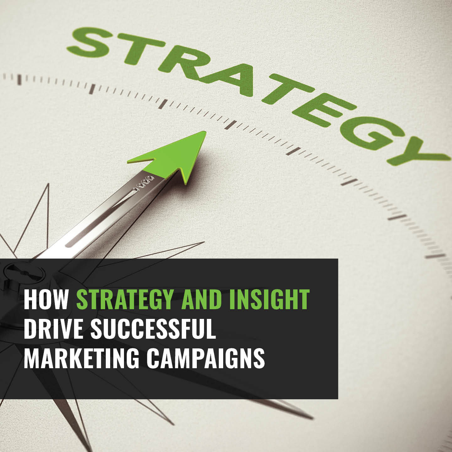 How Strategy and Insight Drive Successful Marketing Campaigns - Callis